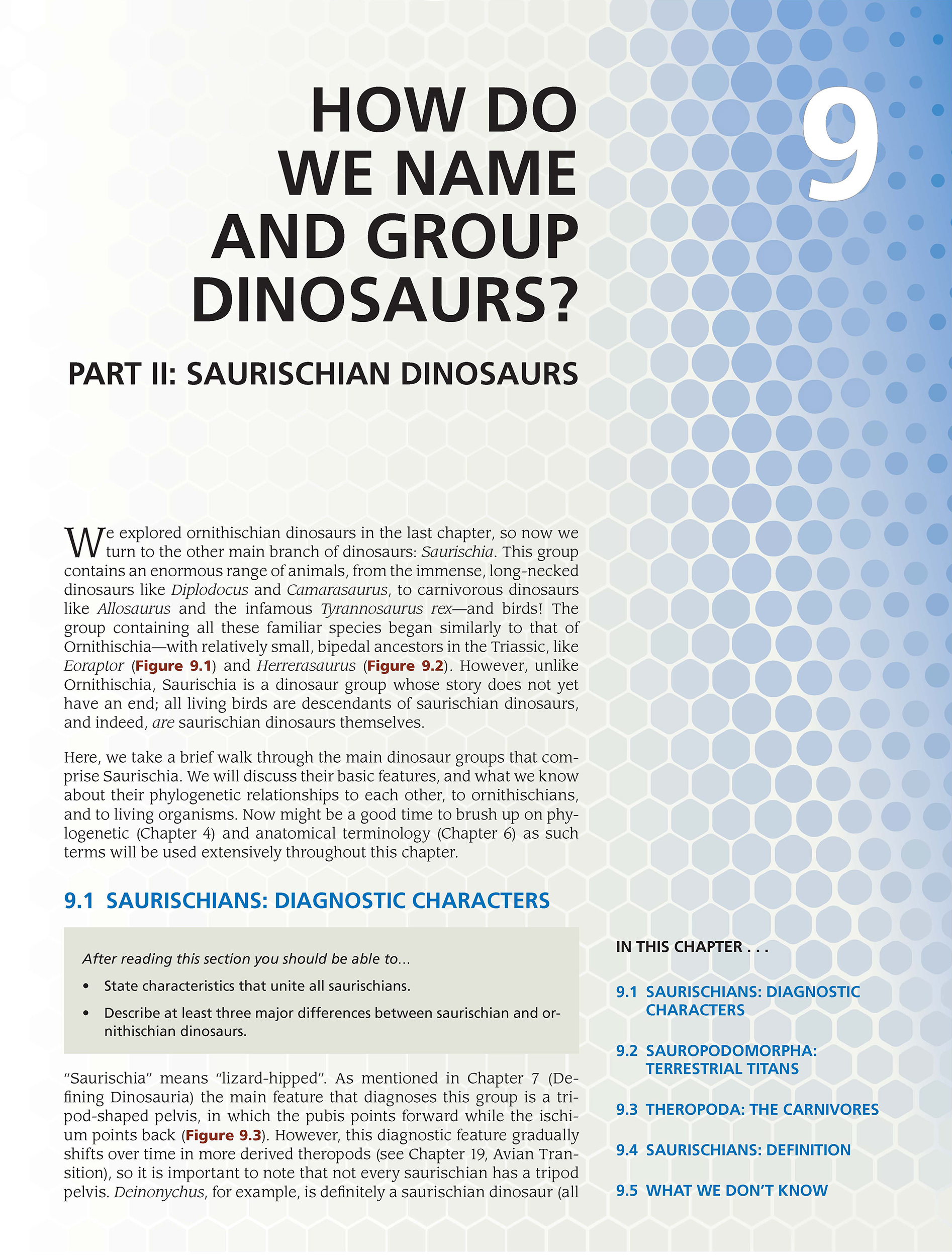 Dinosaurs – How we know what we know